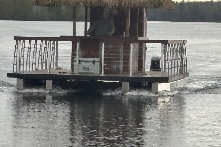 Tiki Boat Tour | Bemus Bay Water Toys